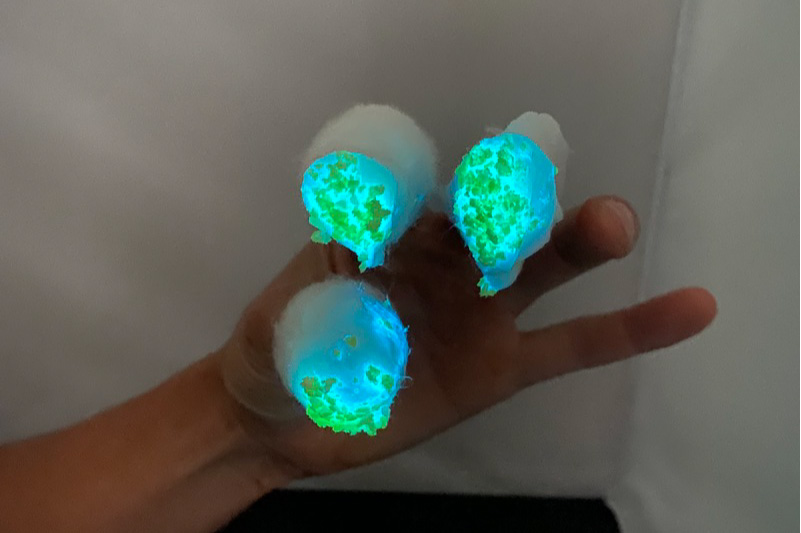 Shop BioToy | BioToy